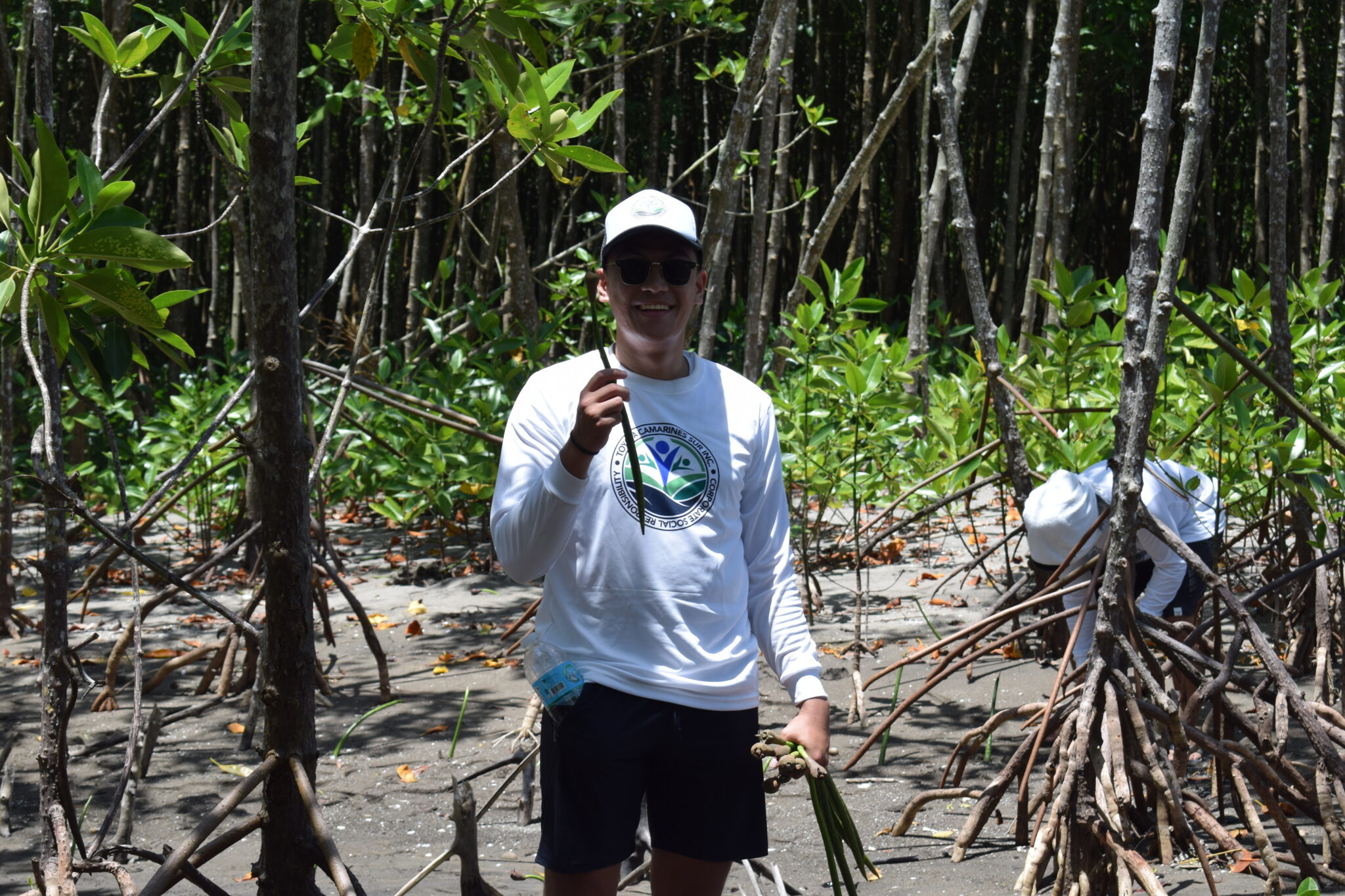 Mangrove Tree Planting - Toyota Camarines Sur, Inc. : Toyota Camarines ...